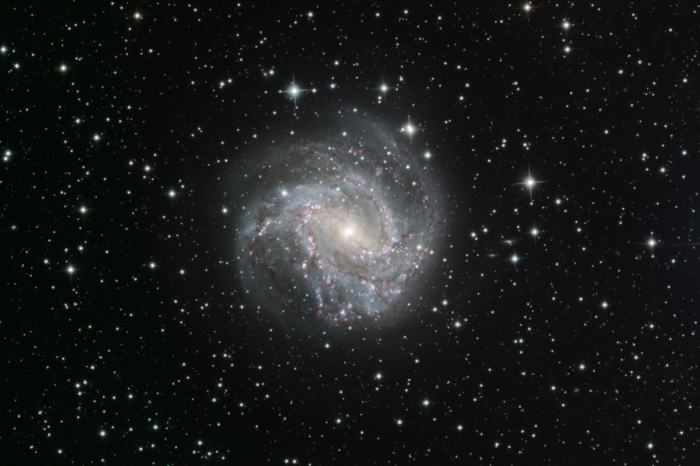 M83 The Southern Pinwheel Galaxy | Telescope Live